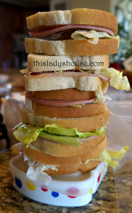 Homemade Bread Machine Mix - Welcome